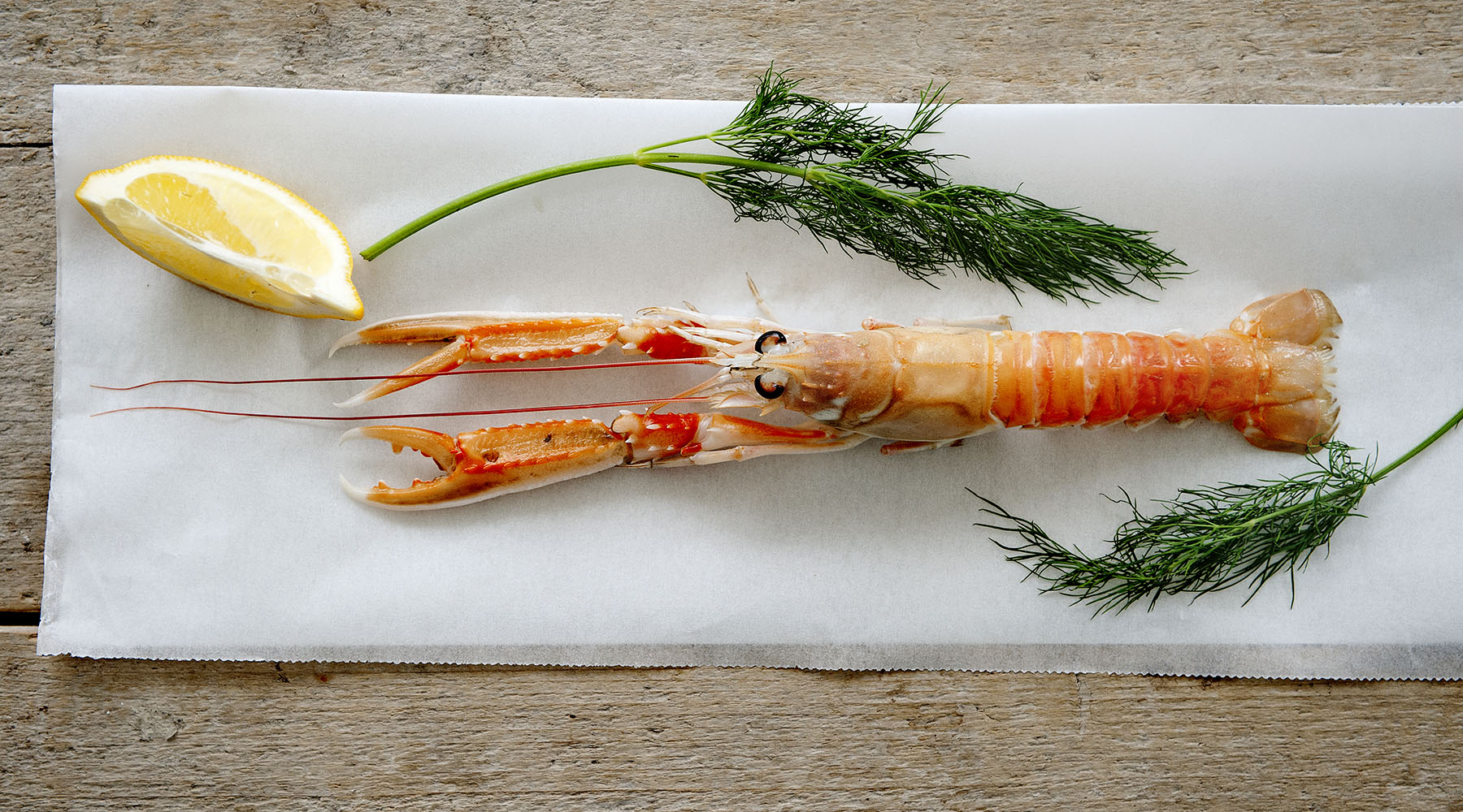 Home Visgilde Vermaas